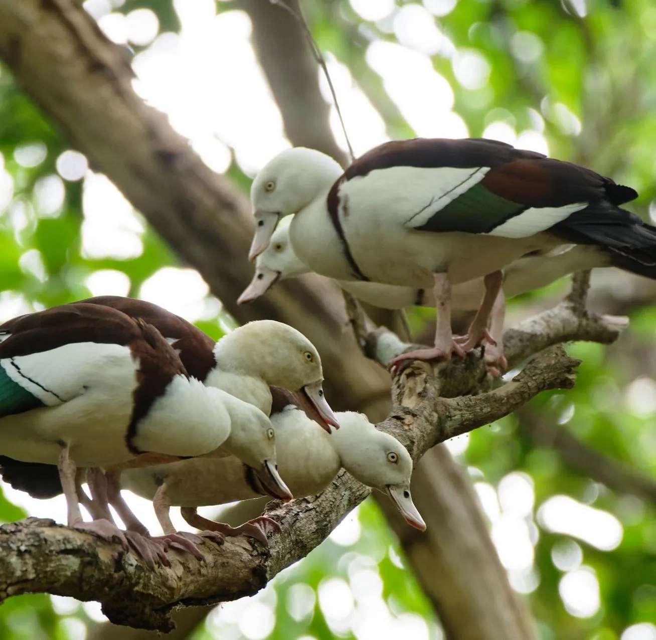 Top 10 Local Tips for Visiting Darwin in Spring | Travel Guide